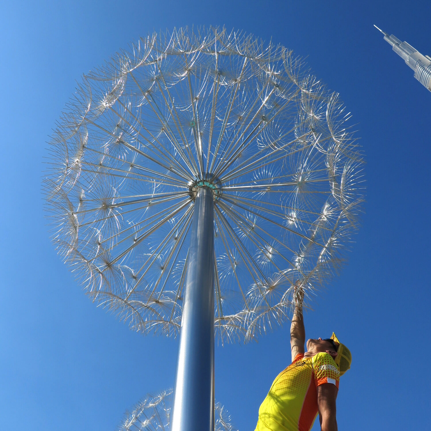 Dandelion Lights - Legacy Landmarks
